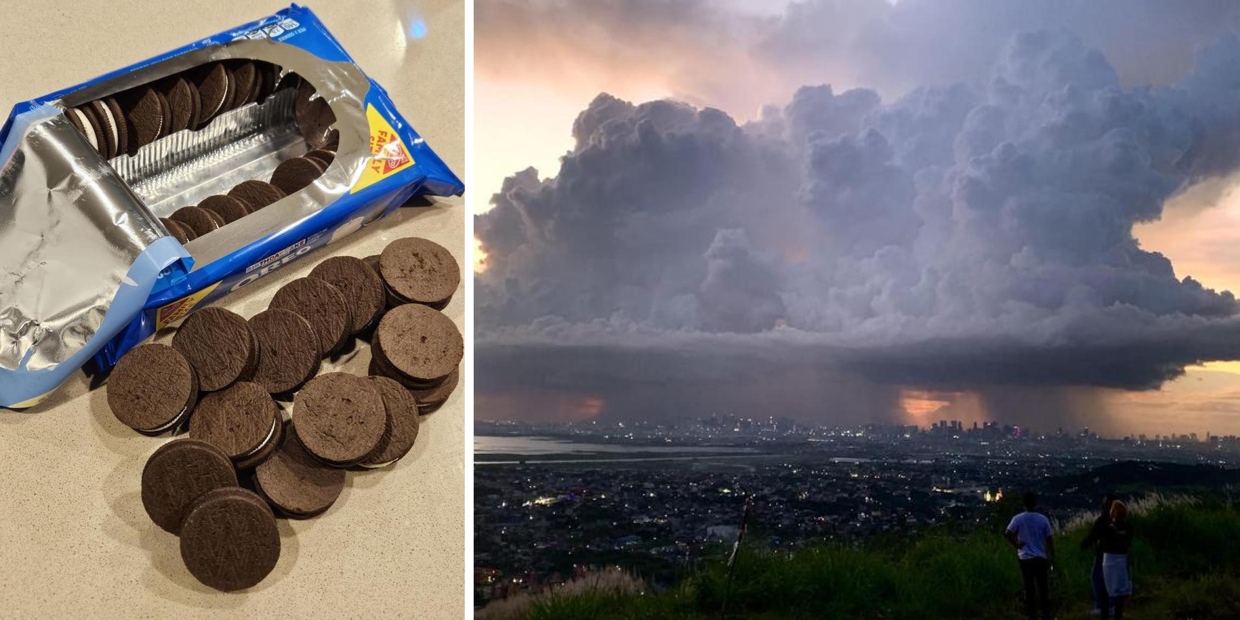 26 'Mildly Interesting' Images To Intrigue You | Know Your Meme