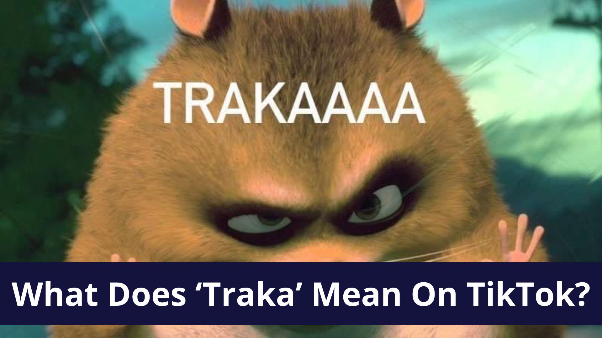 What Does 'Traka' Mean? The Mexican Queer Internet Slang Explained | Know Your Meme