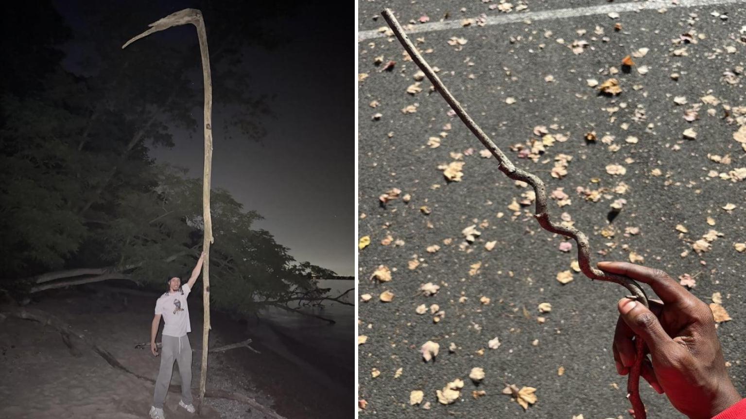 22 Very Cool Sticks People Found In The Forest | Know Your Meme