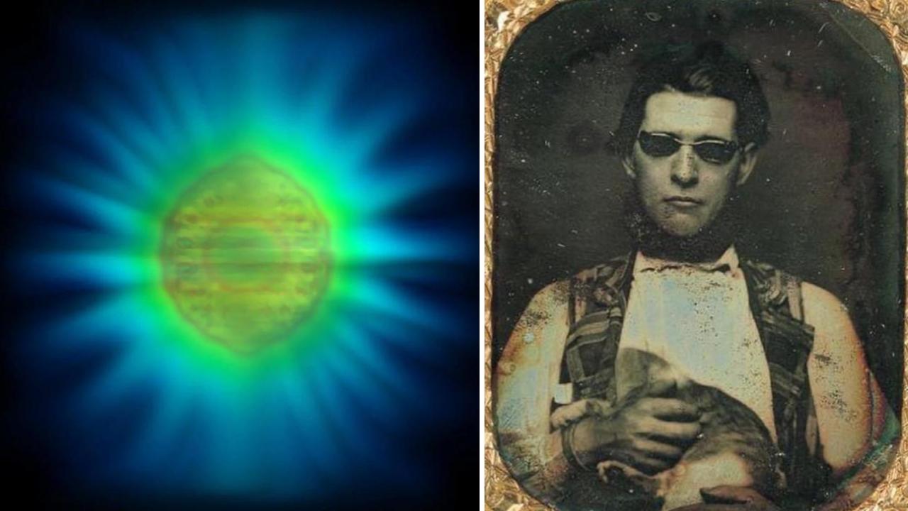 26 Very Interesting Photos And Facts That Are Almost Better Than Memes ...