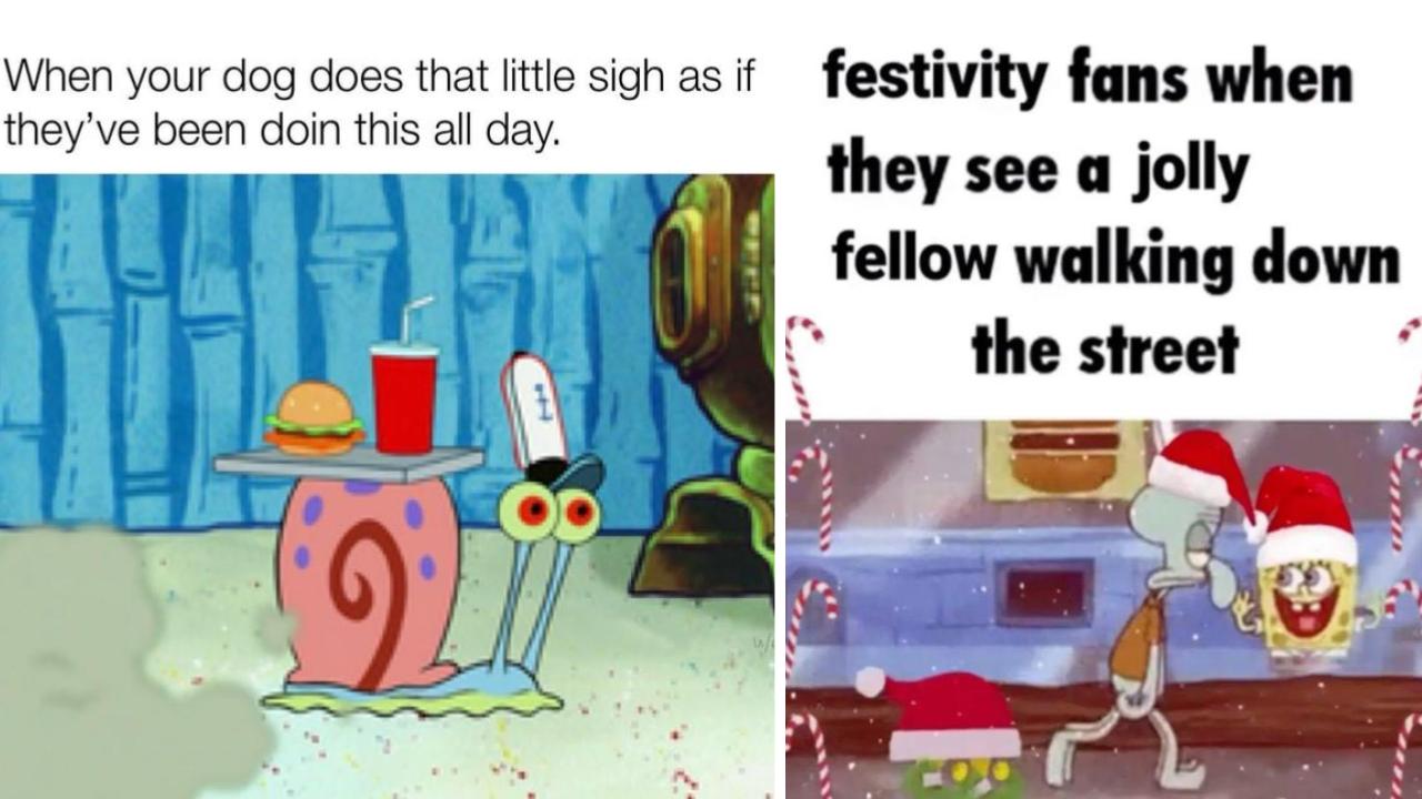 28 Relatable Memes Fresh Out Of Bikini Bottom | Know Your Meme