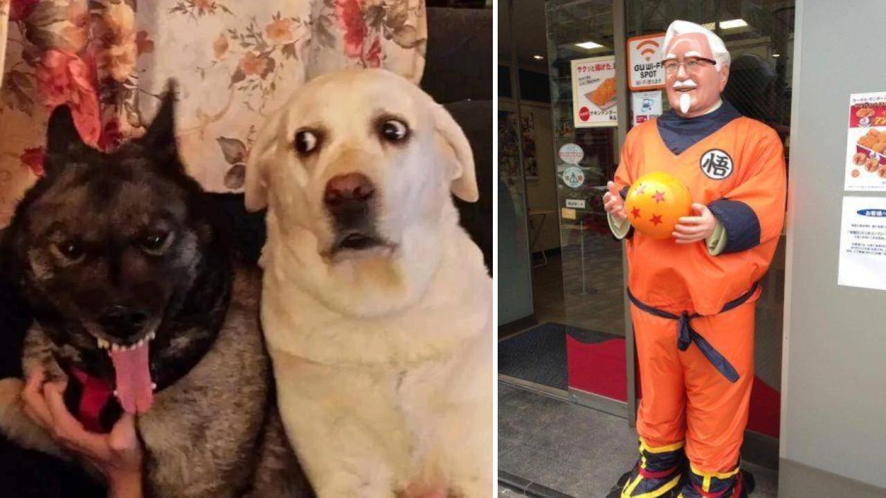 26 So-Called 'Blursed' Images Emitting Weird Vibes | Know Your Meme