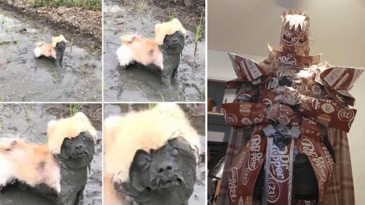 26 Real-World Final Bosses Out Walking The Earth | Know Your Meme