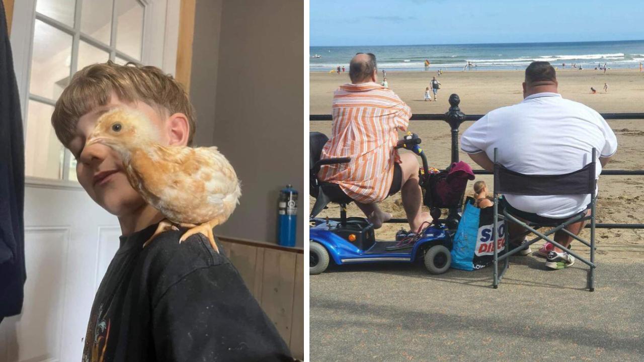 25 Amusing Photos Taken From Confusing Perspectives | Know Your Meme