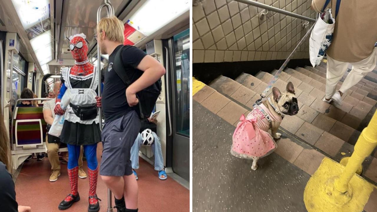 25 Subway Creatures Embarking On Their Peculiar Journeys | Know Your Meme