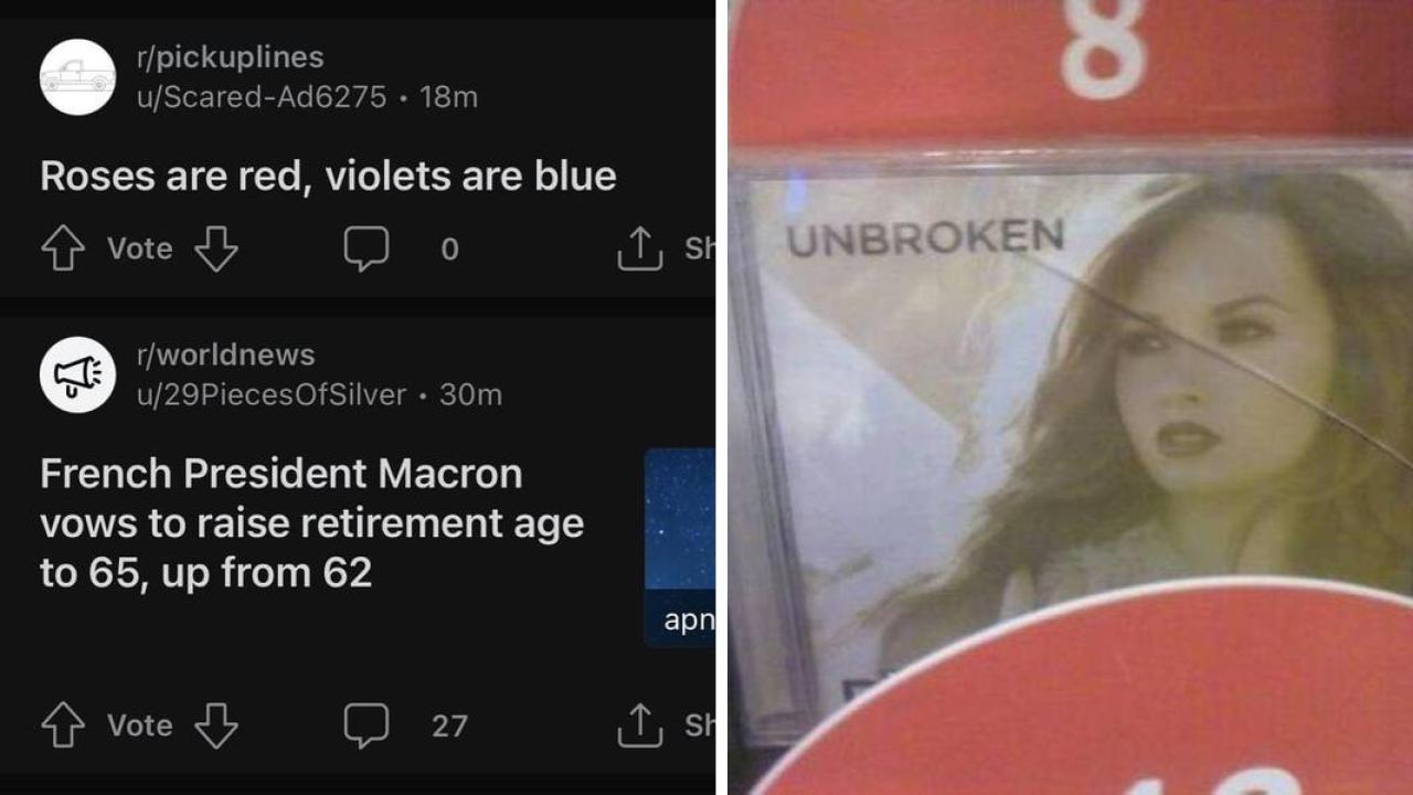 23 Perfect Moments Of Accidental Comedy That Just Happened | Know Your Meme