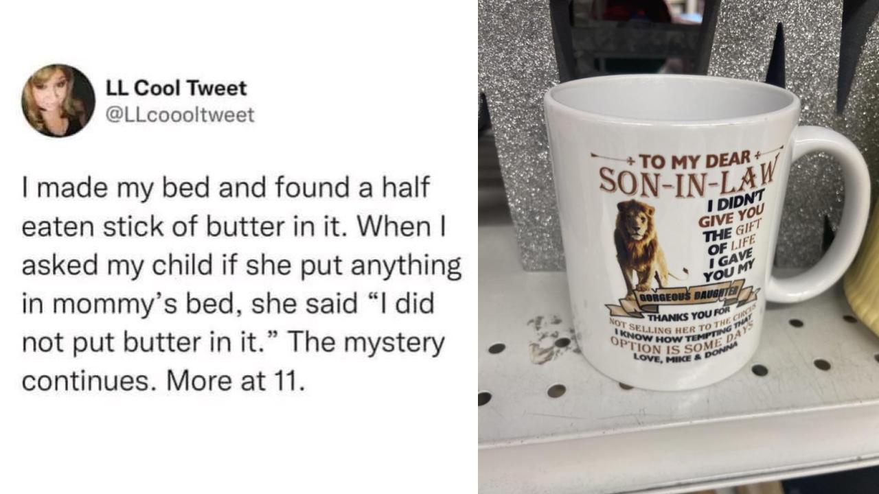 25 Suspiciously Specific Sentences Making Us Wonder What Spawned Them ...