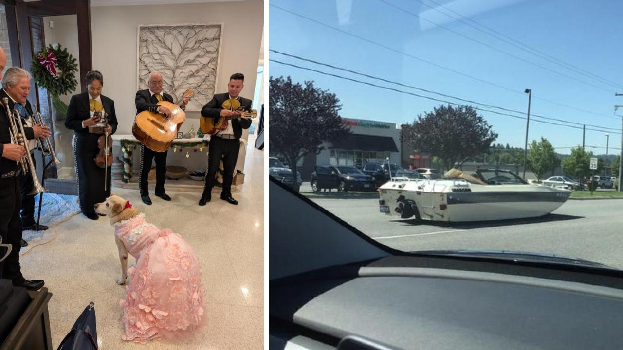 25 Odd And Confusing Images With No Context | Know Your Meme