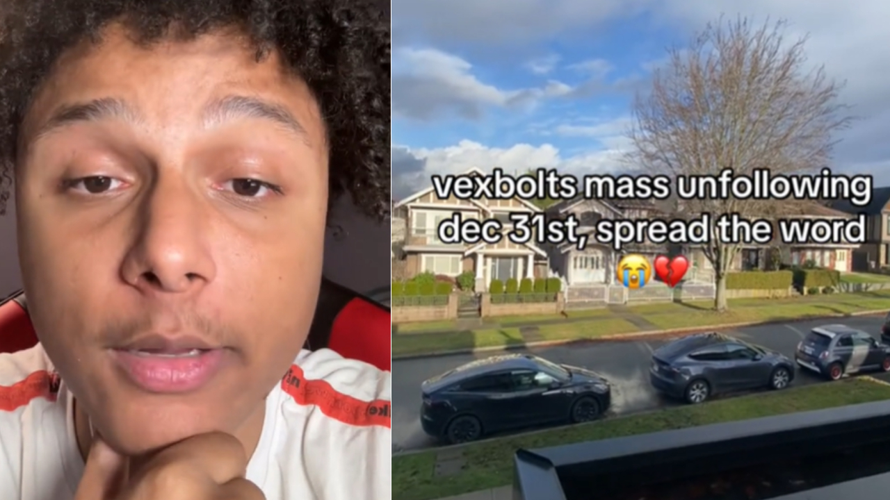 Why Are TikTokers Mass Unfollowing Vexbolts On December 31st, 2024? The ...