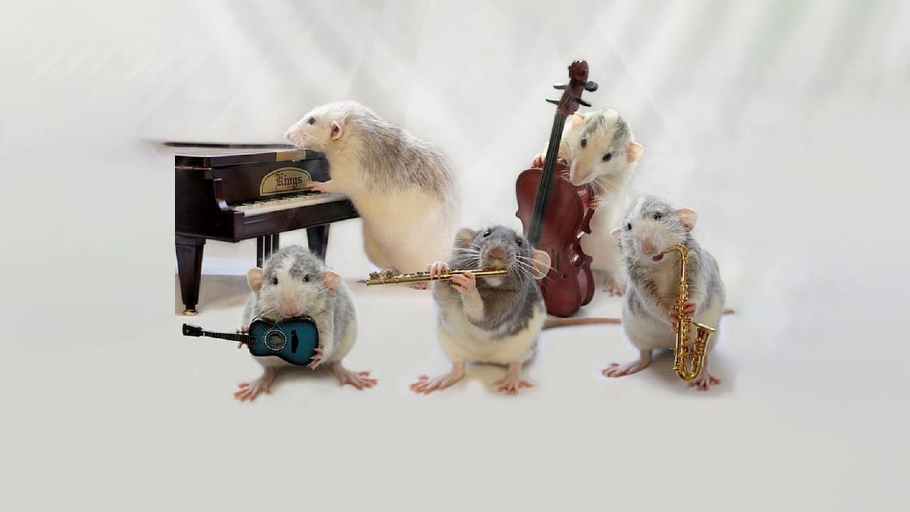 What's Up With AI-Generated Memes About A 'Band Of Talented Mice'? The ...