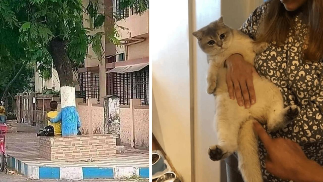 25 Confusing Optical Illusions That Are Weird To Look At | Know Your Meme