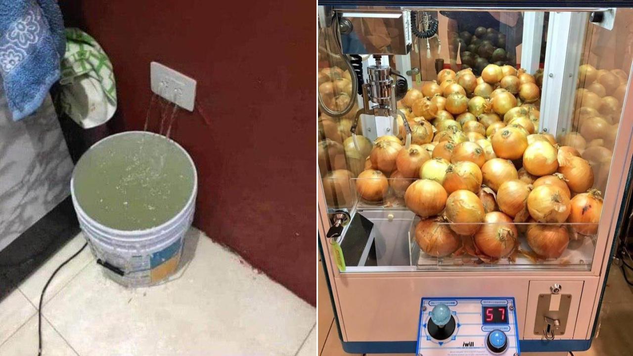 These 23 'Blessed' And 'Cursed' Images Are Nothing Short Of Strange ...