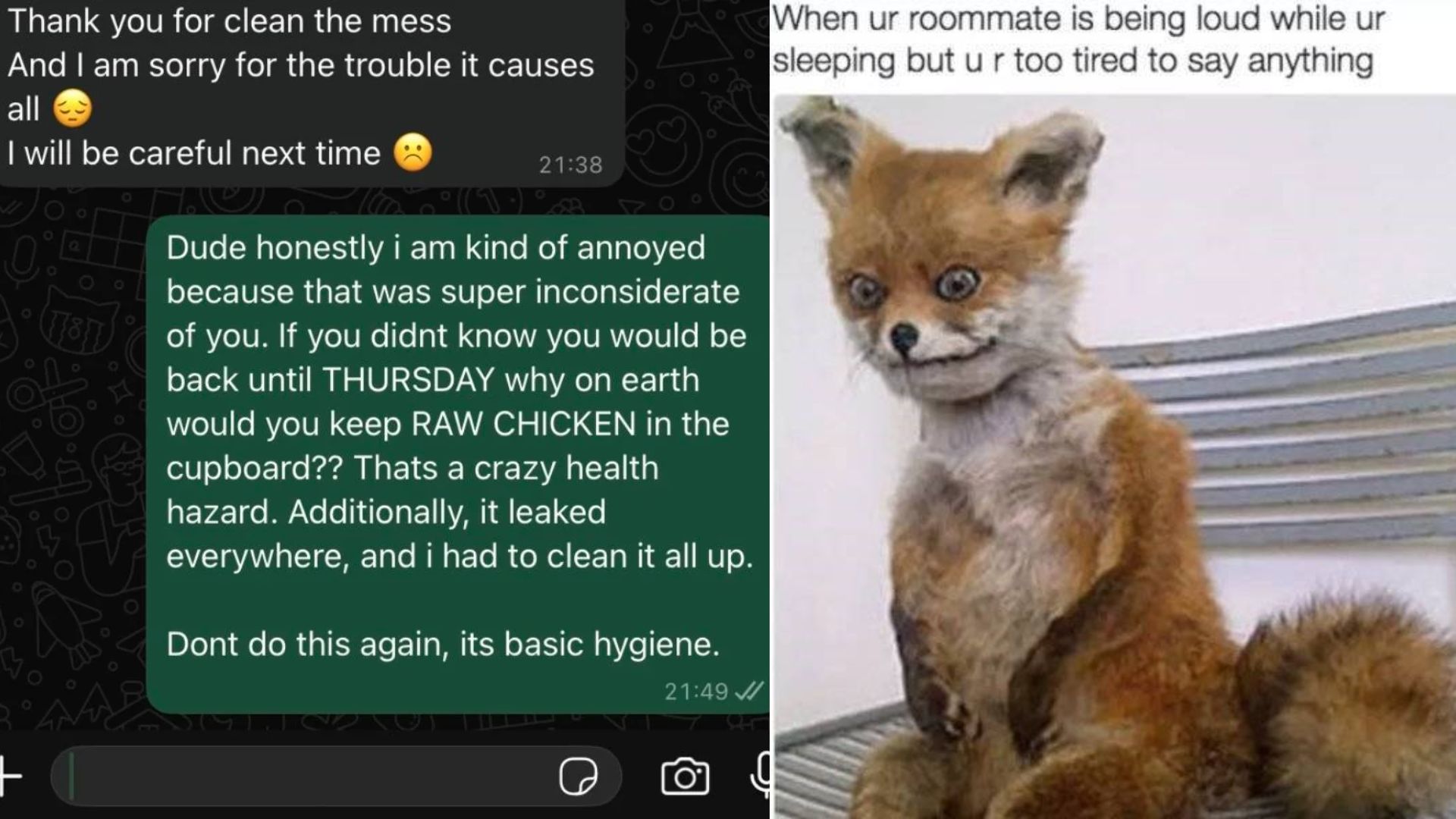 21 Wild And Horrible Roommate Stories That Are Too Relatable | Know ...