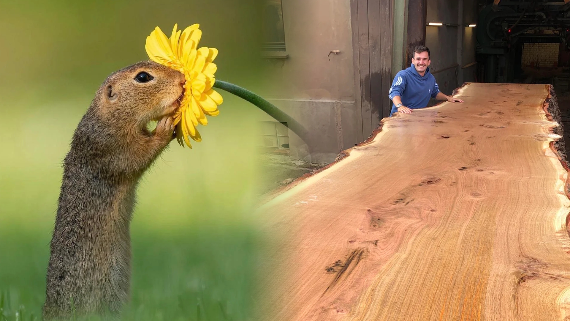 25 Awe-Inspring Photographs To Get Amazed By | Know Your Meme