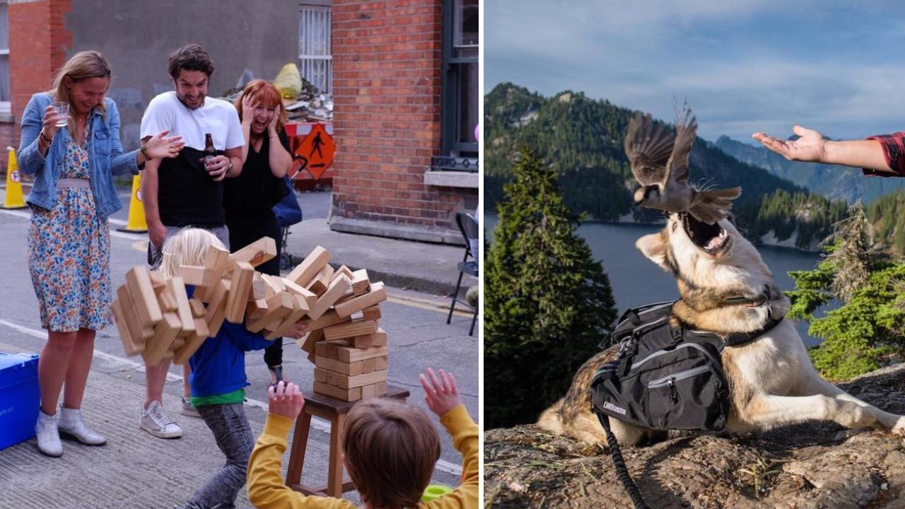 25 Photos Caught At The Perfect Moment | Know Your Meme