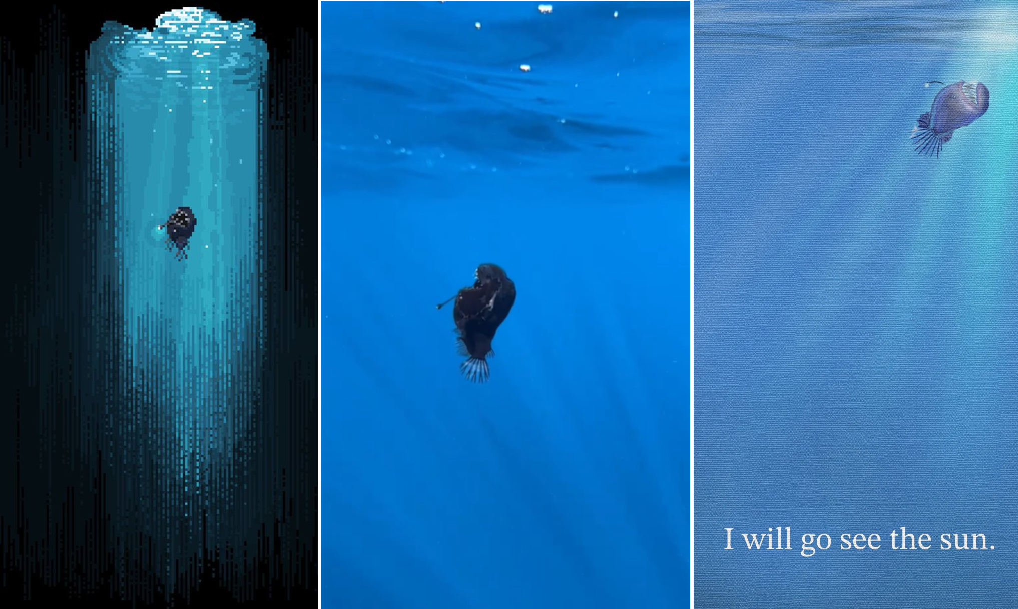 Why Are People Mourning The Death Of An Anglerfish? The Anglerfish Who ...