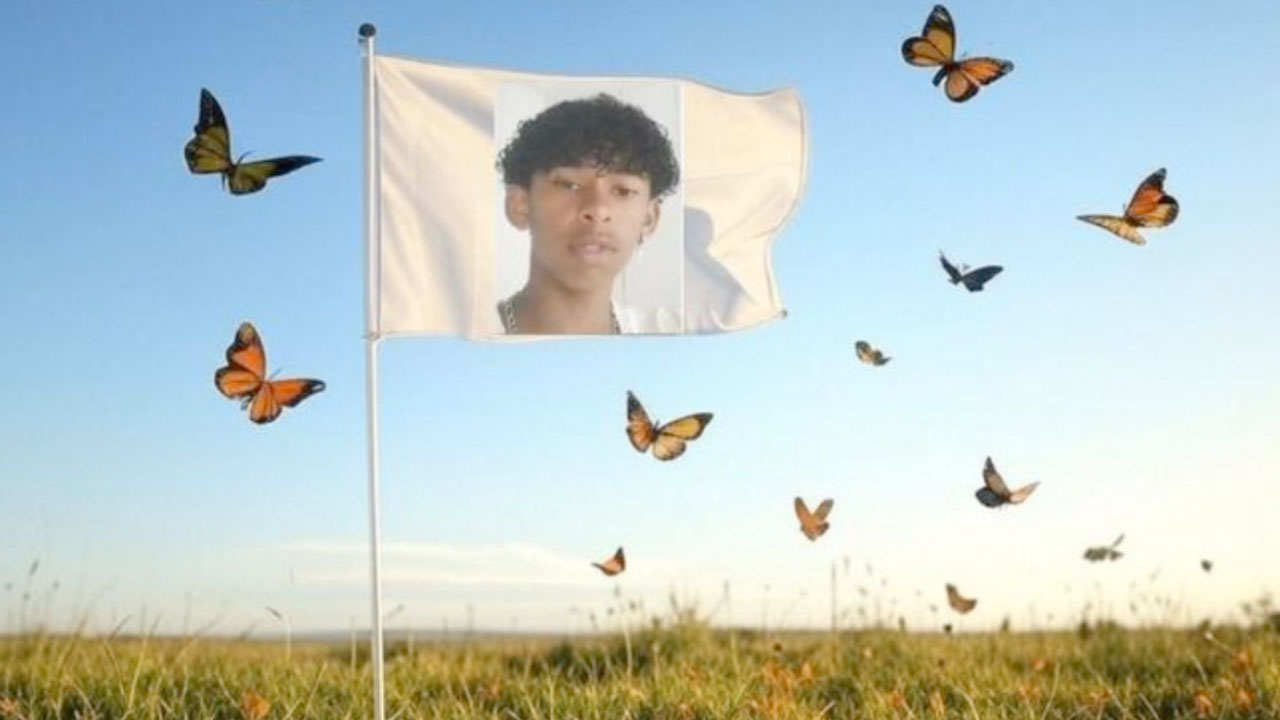 19 Funny Butterfly Meme That Make You Fly Memesboy