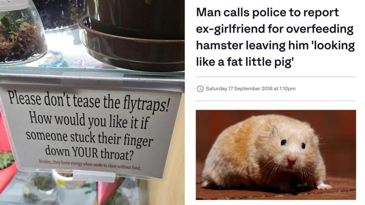 25 Stupidly Funny Images That Make No Sense | Know Your Meme