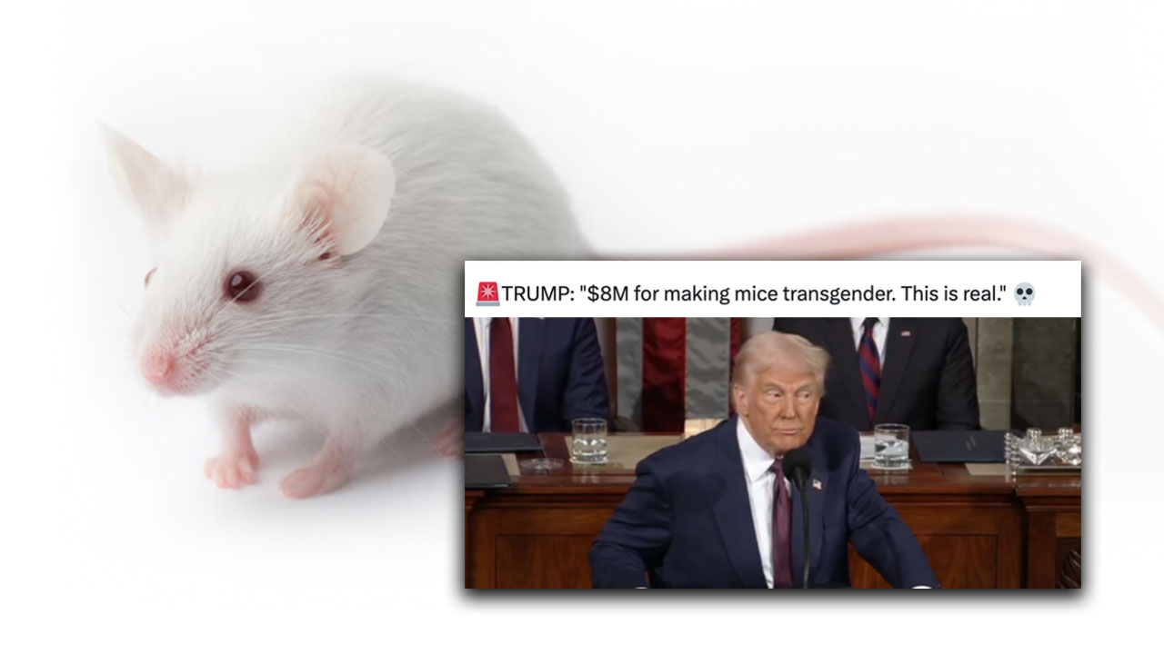 What's Up With President Trump Defunding 'Transgender Mice' Research ...