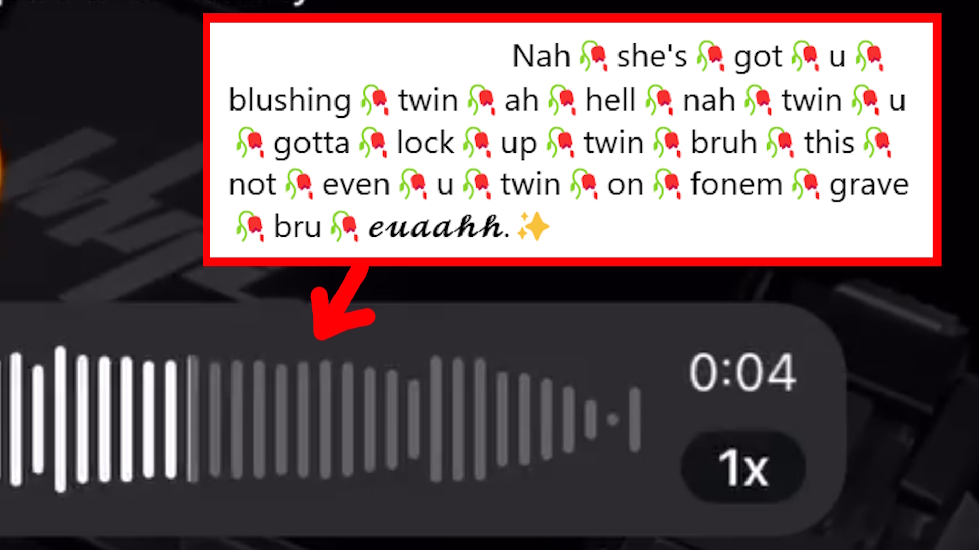 Who Made The 'Nah She Got You Blushing Twin 🥀' Voice Message, What Does 'On Foen... | Know Your Meme