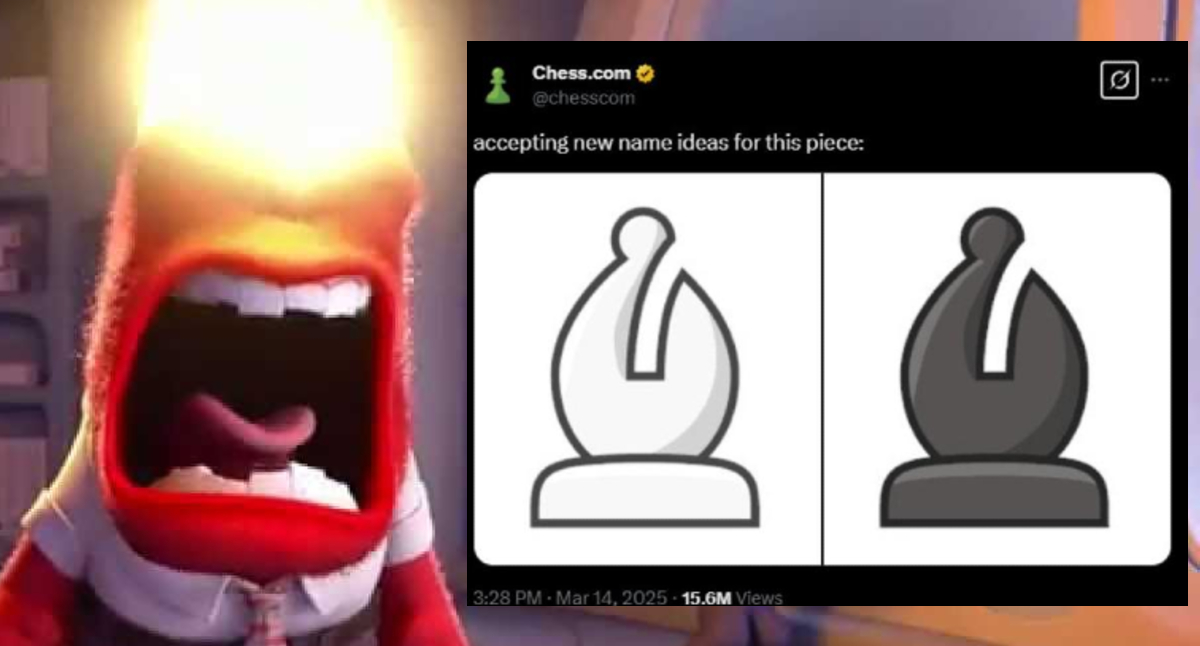 Is 'Chess.com' Trying To Rename The Bishop? The Outrage Over A Joke ...