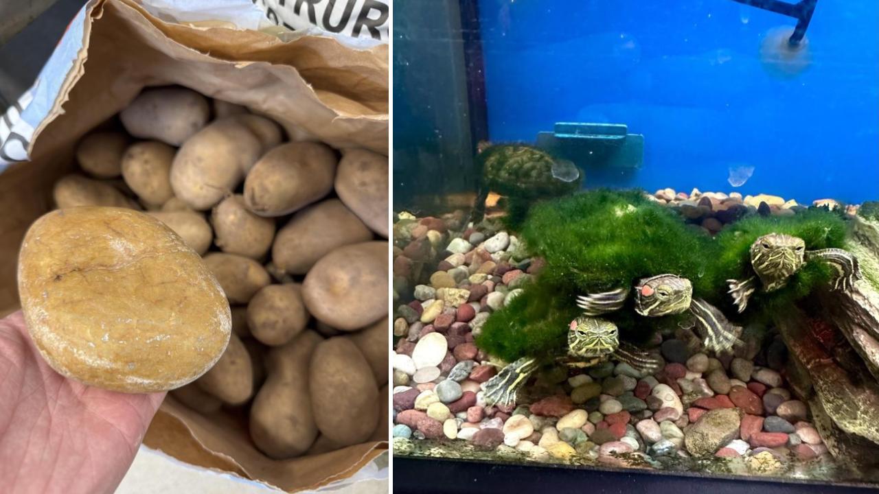 25 Intriguing Images To Appreciate Life's Small Moments | Know Your Meme