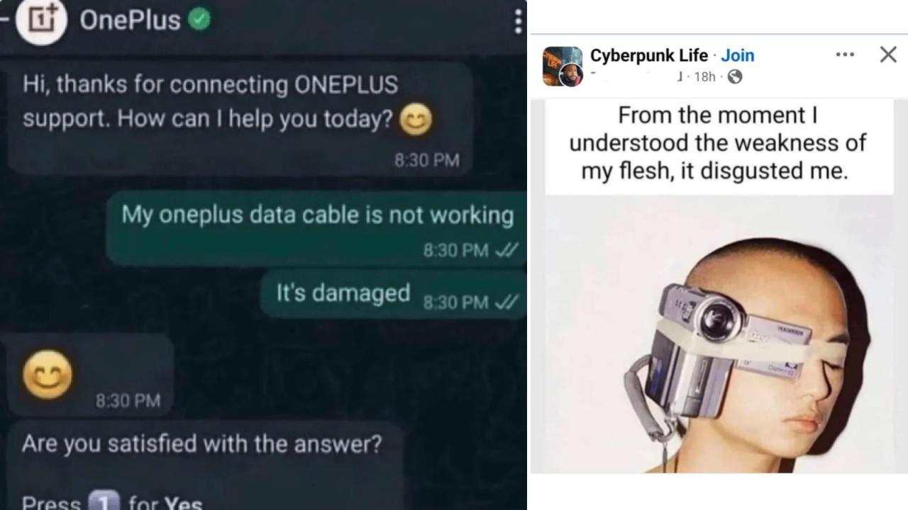 25 Memes Full Of Simply Dumb Humor | Know Your Meme