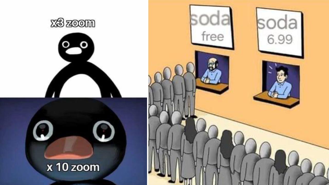 25 Anti-Memes Full Of Blunt Humor | Know Your Meme