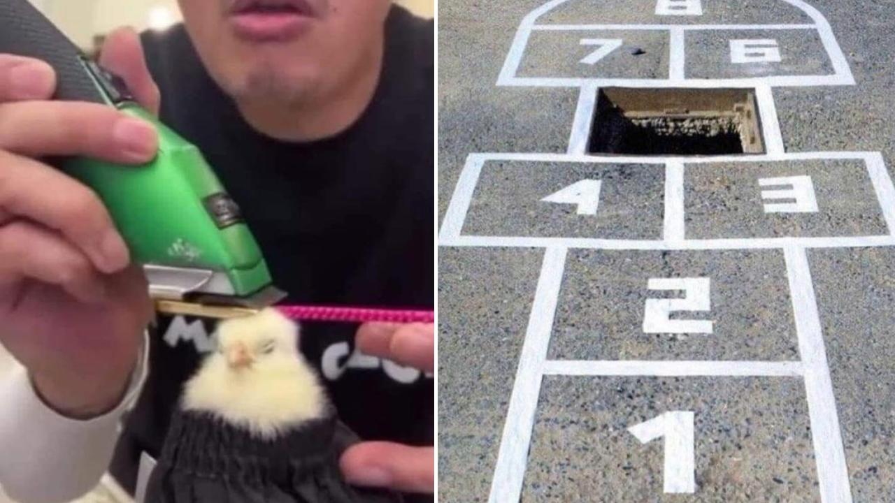 25 Oddly Intriguing Images Showcasing Weird Moments In Life | Know Your ...