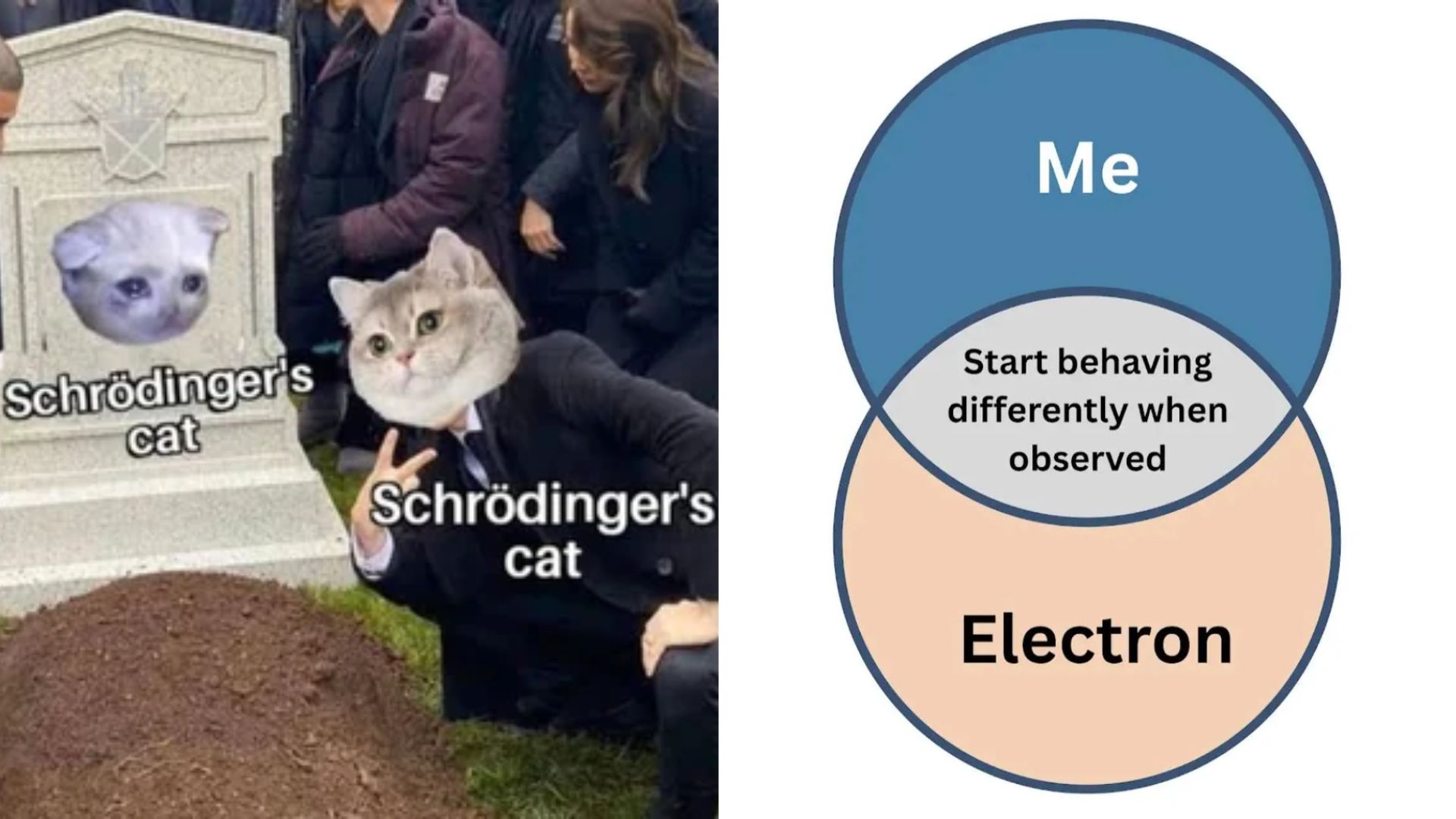 24 Science Memes That Nearly Count as Studying | Know Your Meme