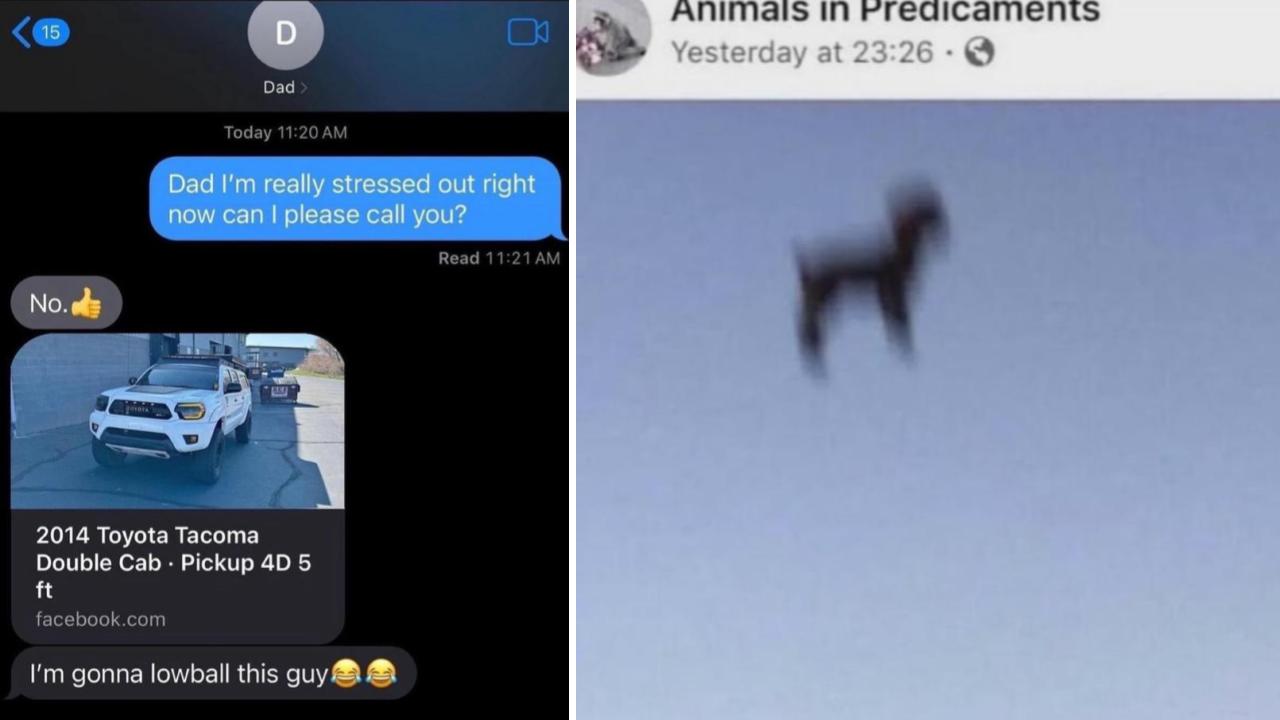 25 Oddly Obscure Memes And Posts Found Online | Know Your Meme