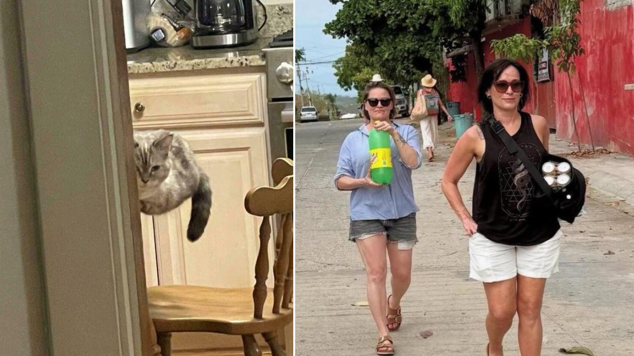25 Illusory Photos Taken From Odd Perspectives | Know Your Meme