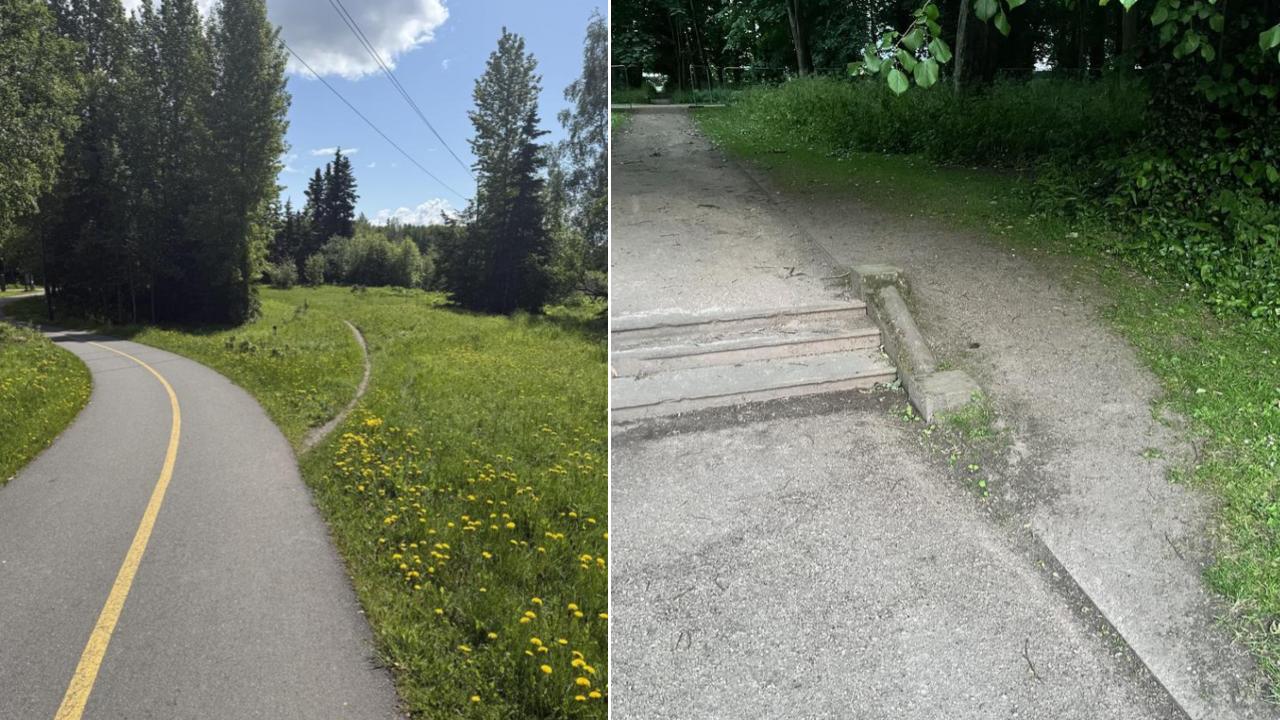 Follow These 28 'Desire Paths' People Made On Their Own | Know Your Meme