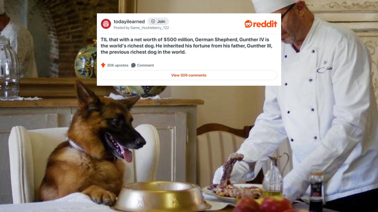 Learn Something New With 24 Facts We Just Learned | Know Your Meme