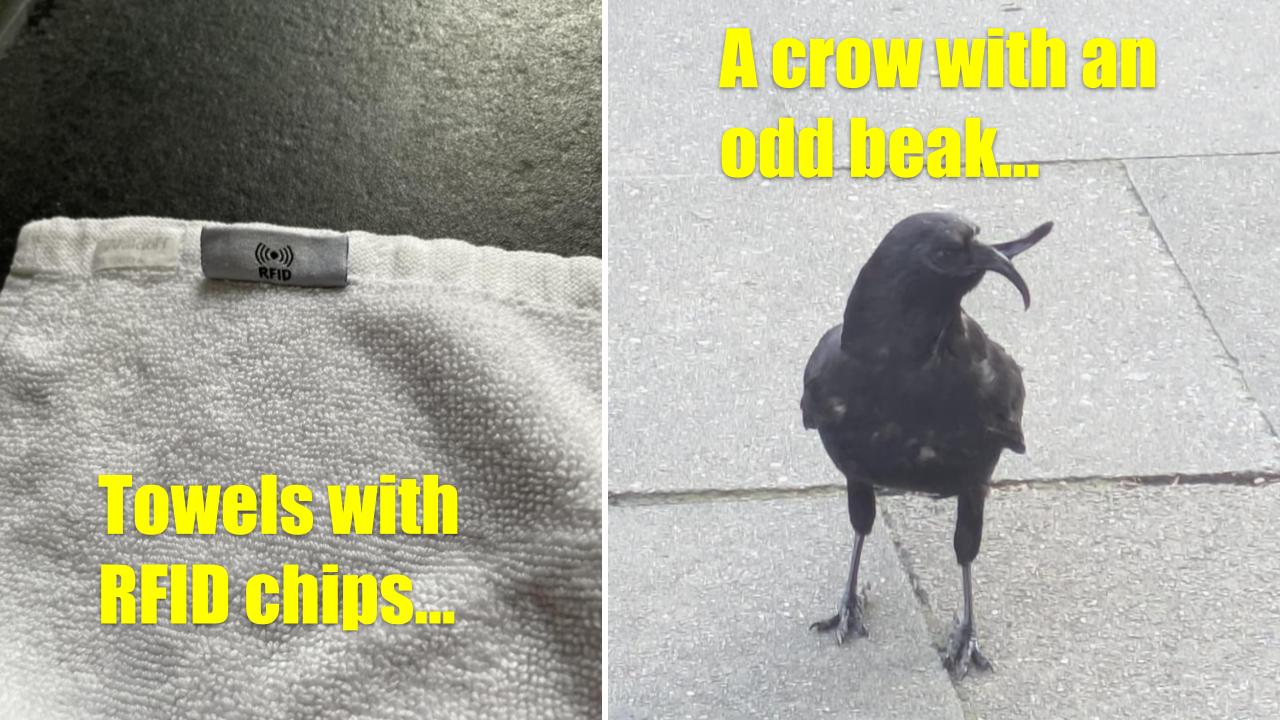 These 27 Photos Highlight The Small Things In Life | Know Your Meme