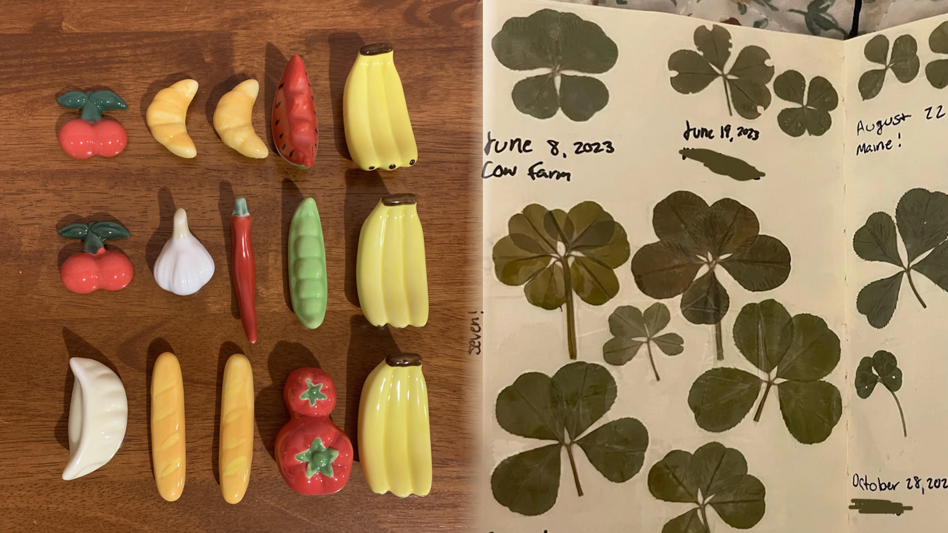 25 Personal Collections That People Deemed Worthy Of Sharing Online ...