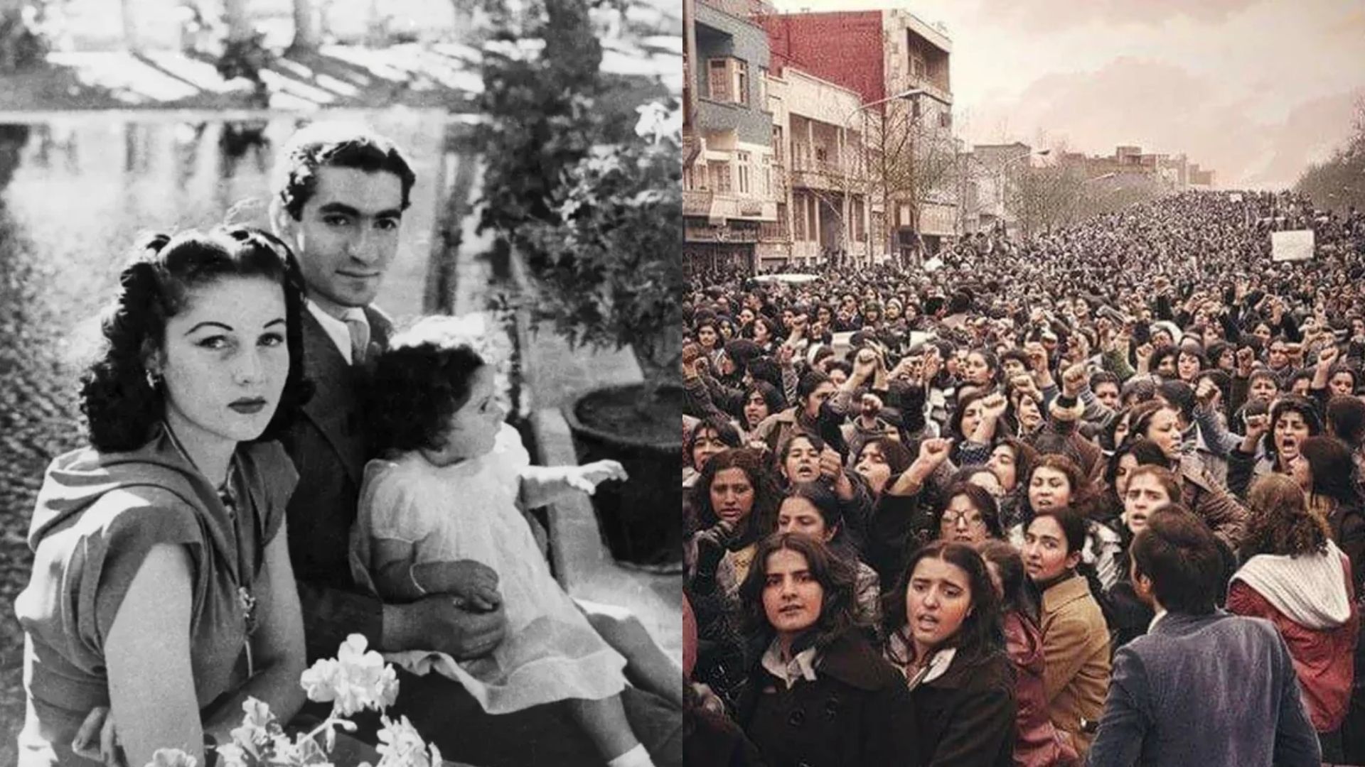 Know Your Meme: Internet Meme Database