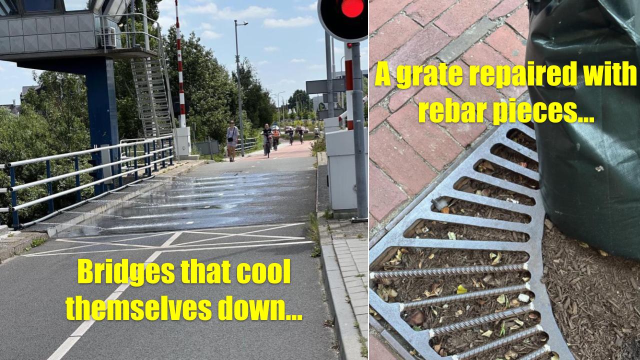 Everyone Should See These 27 Mildly Interesting Moments | Know Your Meme