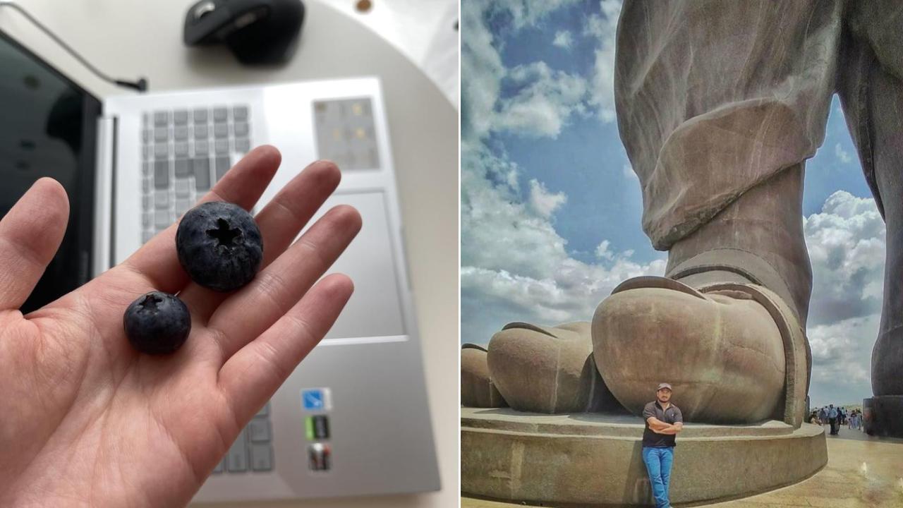 These Animals And Objects Ended Up Being Bigger Than Expected | Know ...