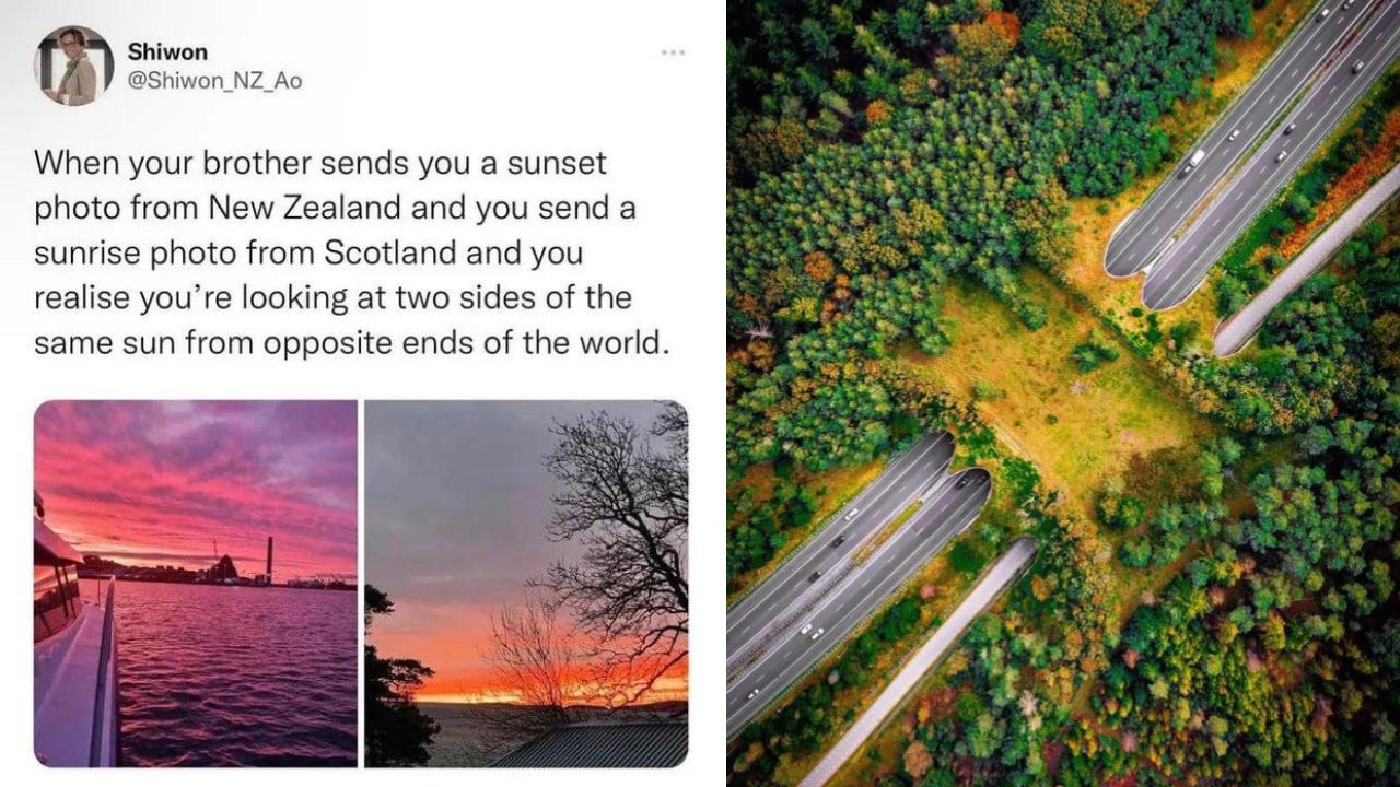 26 Positively Amazing Things To See | Know Your Meme
