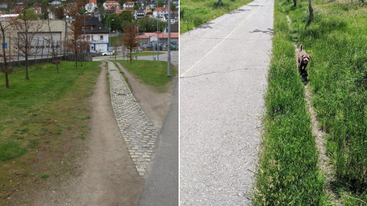 25 Paths And Walkways Made From Human Desire | Know Your Meme