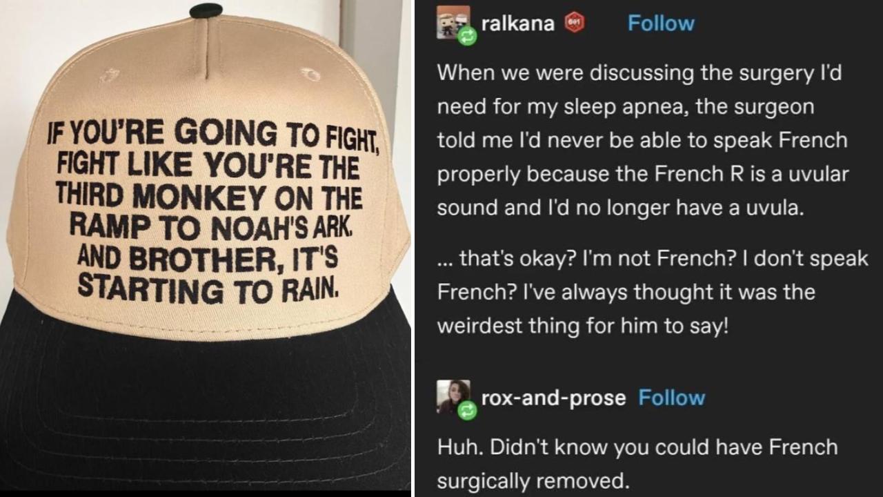 27 Weirdly Specific Sentences Touching On Odd Topics | Know Your Meme