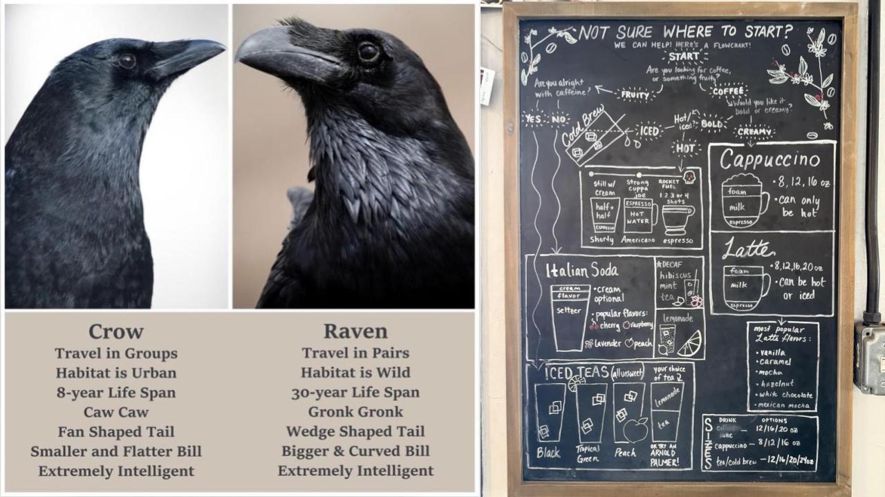 25 Interesting Guides And Infographics To Learn Something New | Know ...