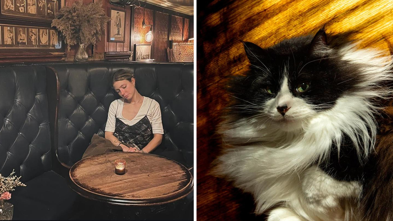 24 Photos That Accidentally Became Renaissance Masterpieces | Know Your ...
