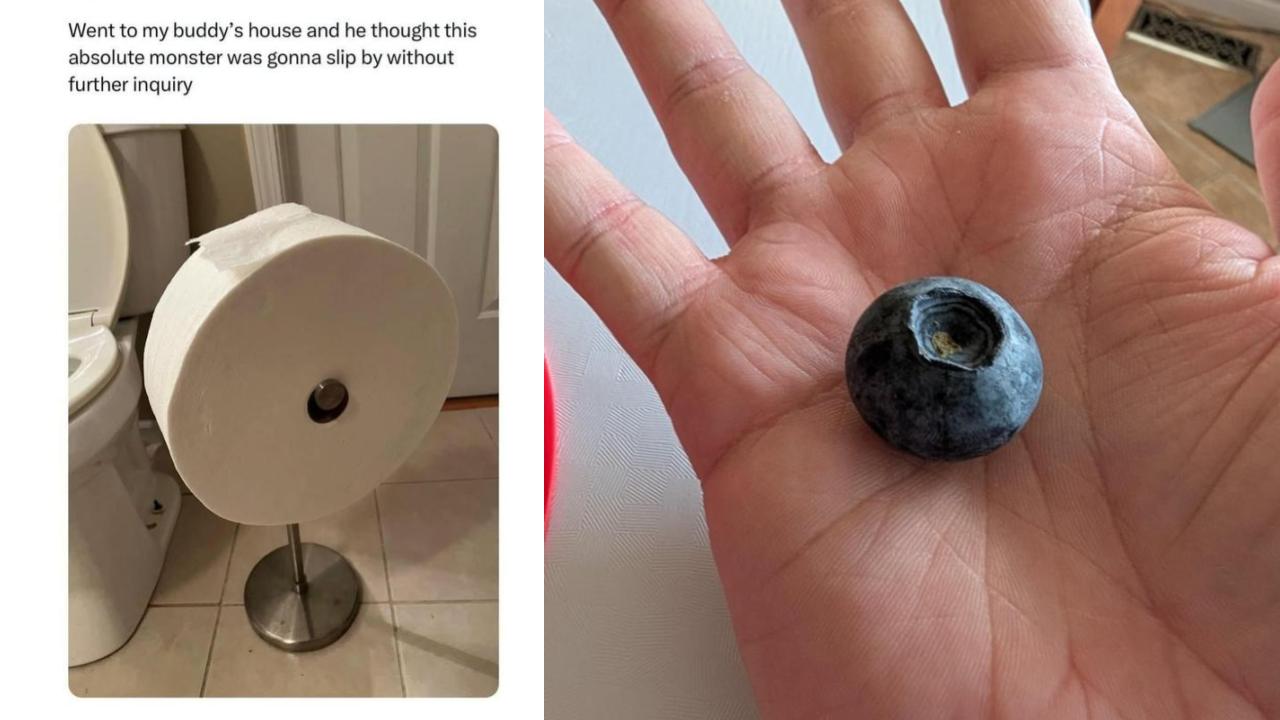These 25 Things Ended Up Being Way Too Big | Know Your Meme