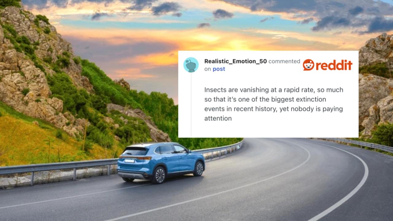 People Shared Things They Think Are Dying Out, But No One Is Noticing ...