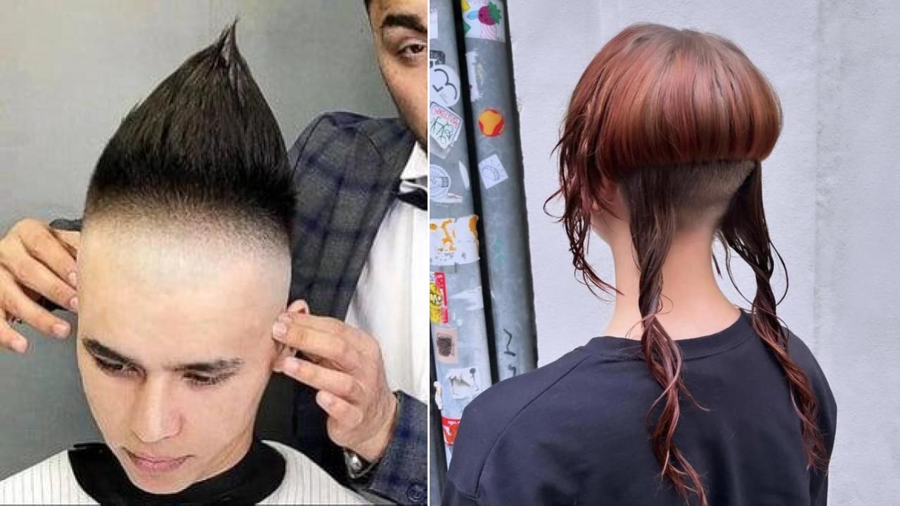 25 People Who Need To Head Back To The Salon | Know Your Meme