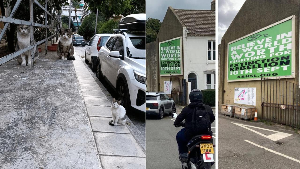 25 Mind-Boggling Illusions Captured In Real Time | Know Your Meme