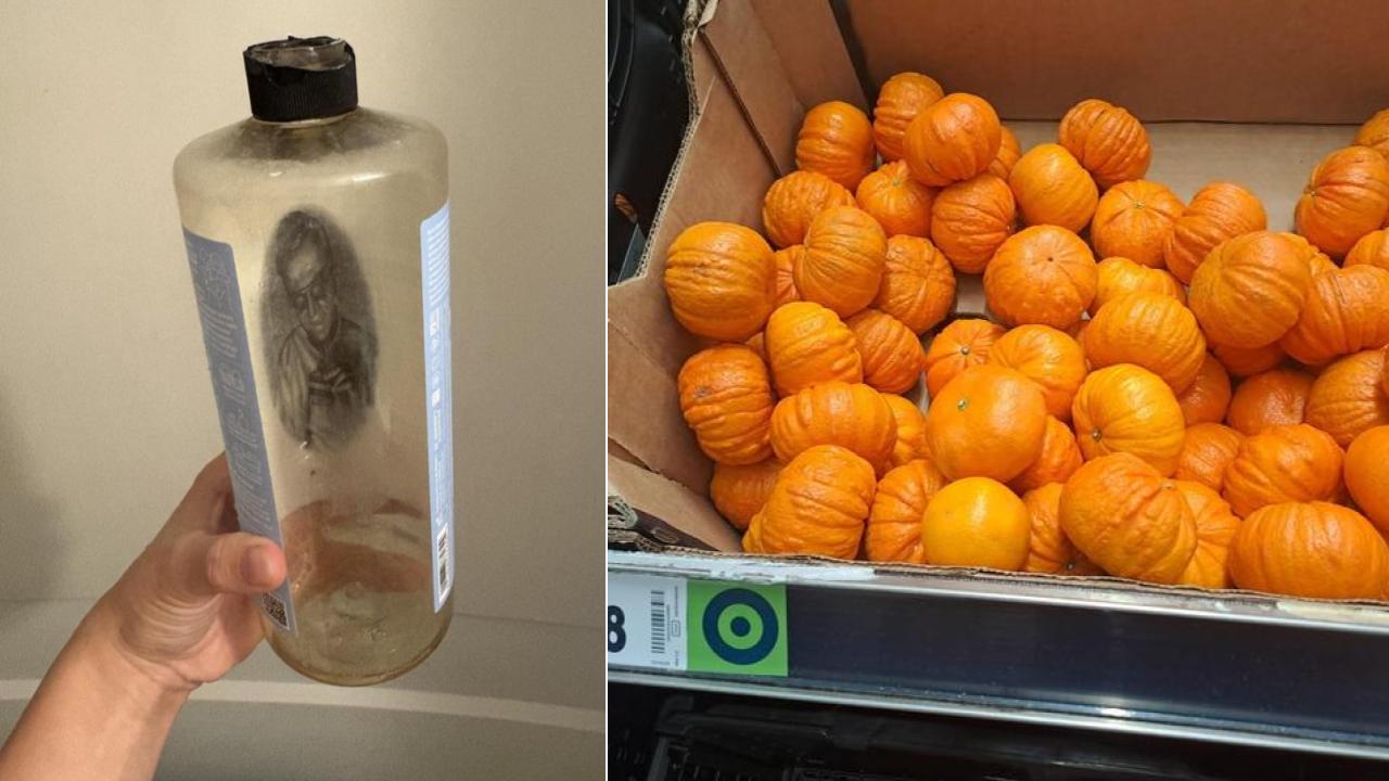 Take A Moment To Admire The Small Things In Life | Know Your Meme