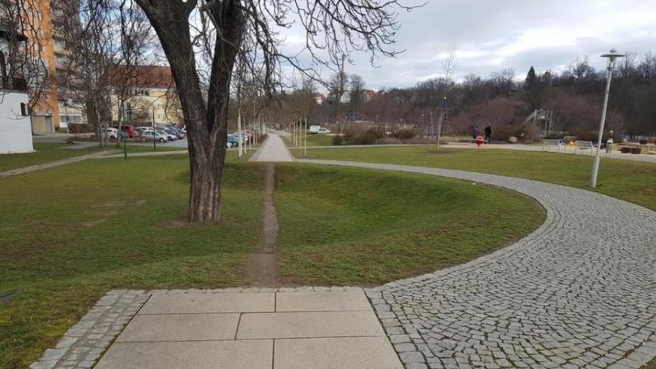 These 25 Desired Paths Are Magical Little Shortcuts | Know Your Meme